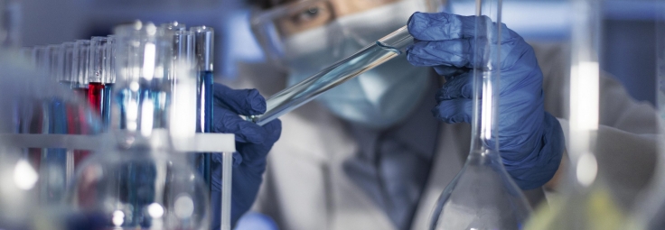 Principais tipos de catalisadores e suas aplicações